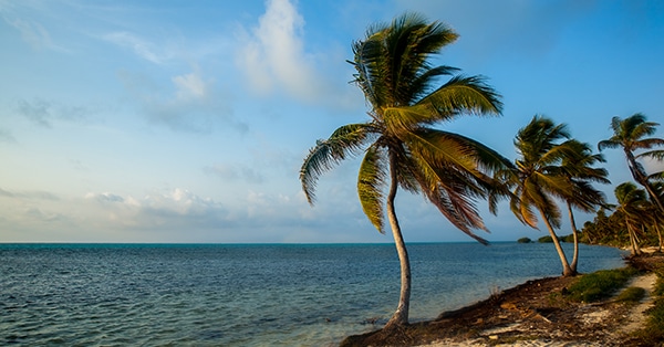 The Many Languages of Belize