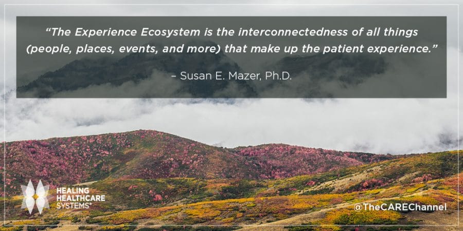 The Experience Ecosystem and The Patient Experience - C.A.R.E. Channel ...